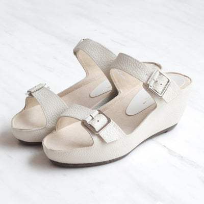 NEW ARRIVAL – EIZO WEB SHOP